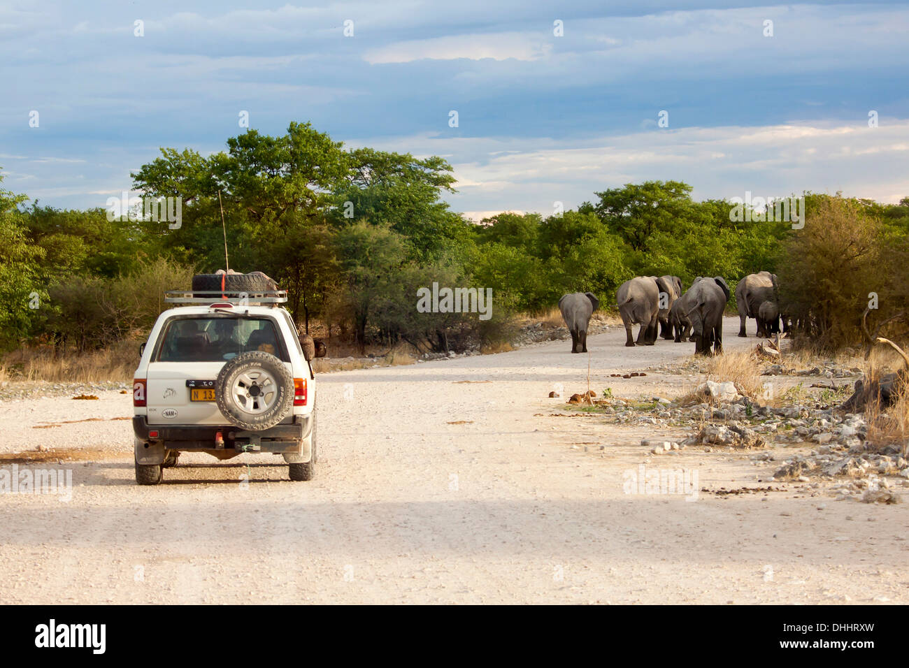 Etosha namibia safari jeep hi-res stock photography and images - Alamy