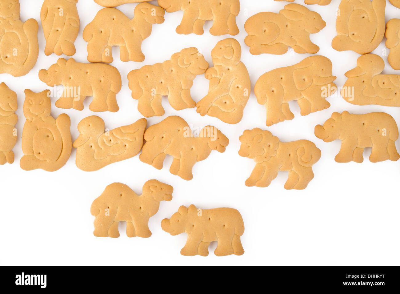 animal shaped cracker isolated on white background Stock Photo - Alamy