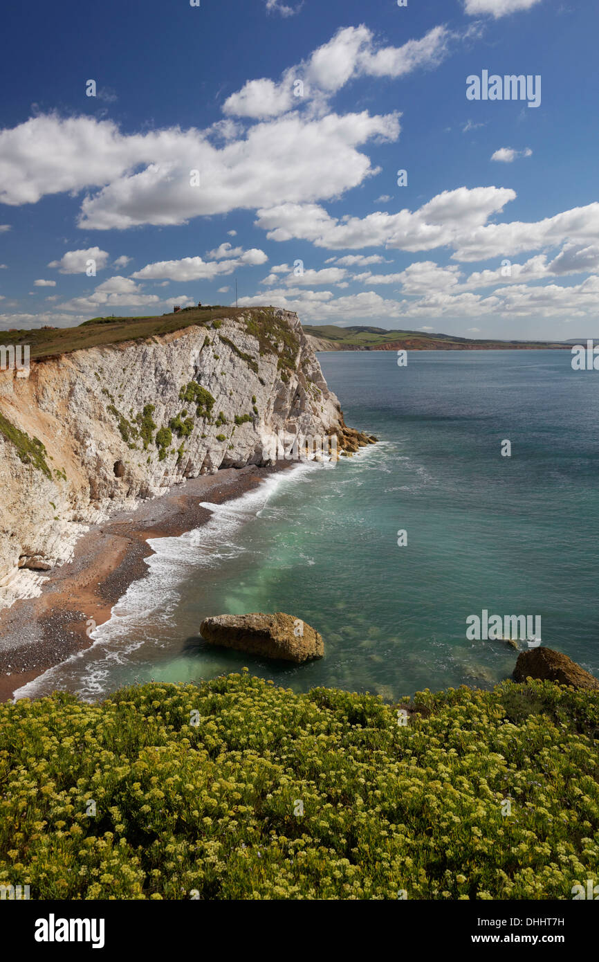 Simon chalk hi-res stock photography and images - Alamy
