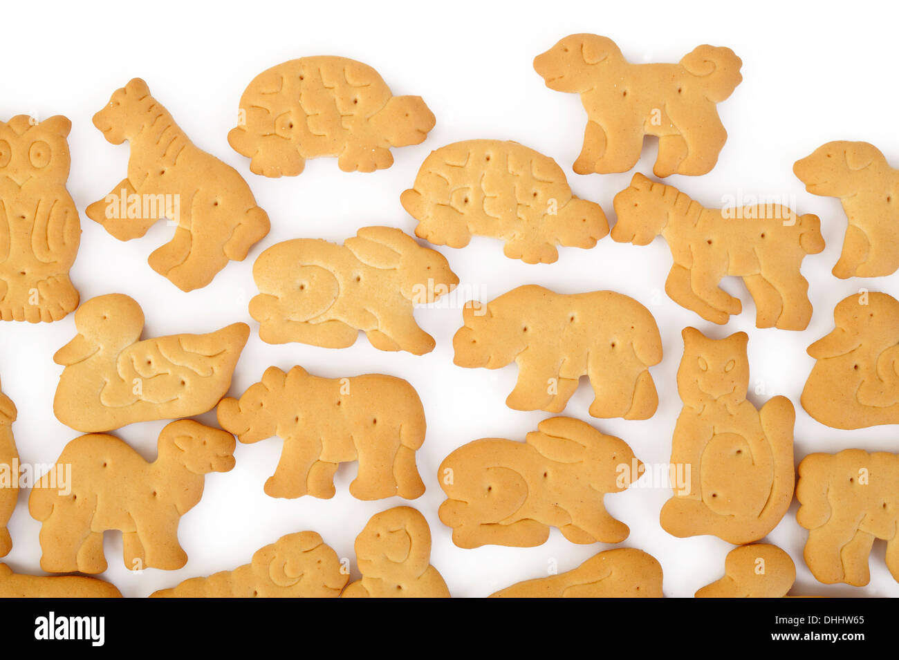 animal shaped cracker isolated on white background Stock Photo - Alamy