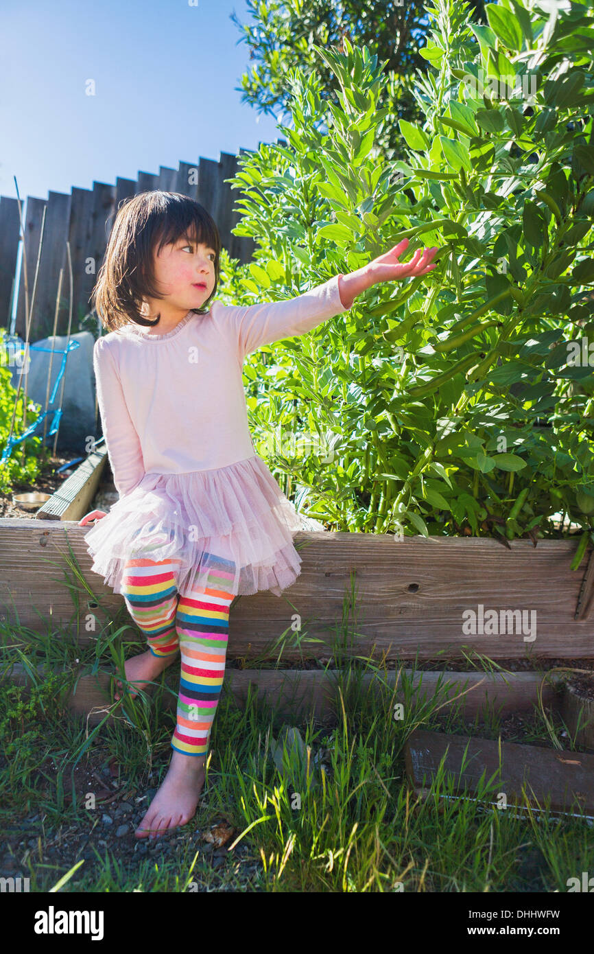Girl in fava bean garden Stock Photo - Alamy