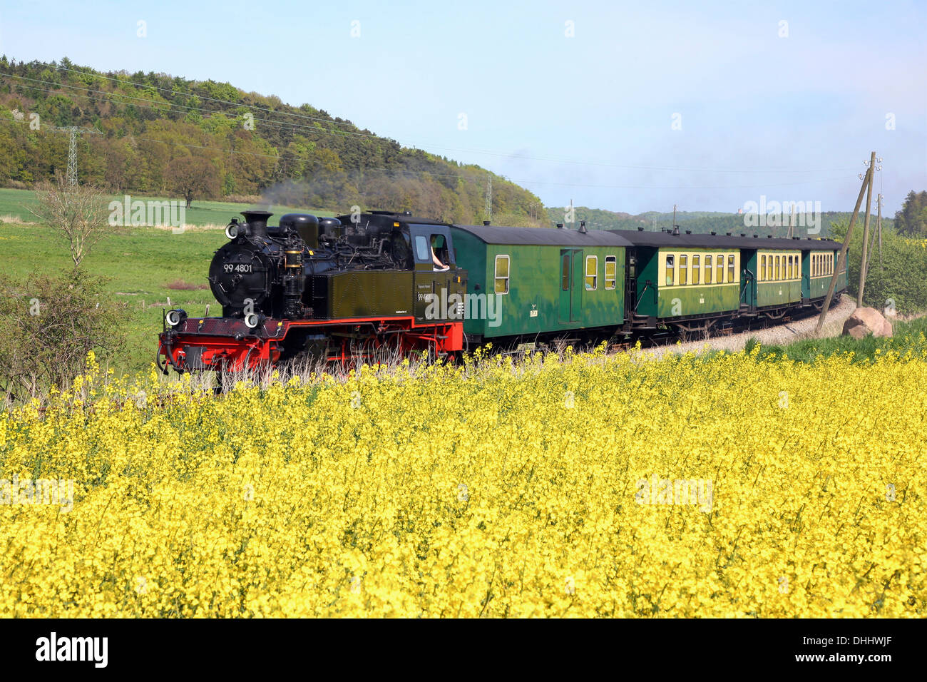 Steam train Rasender Roland at canola field, Island of Ruegen ...