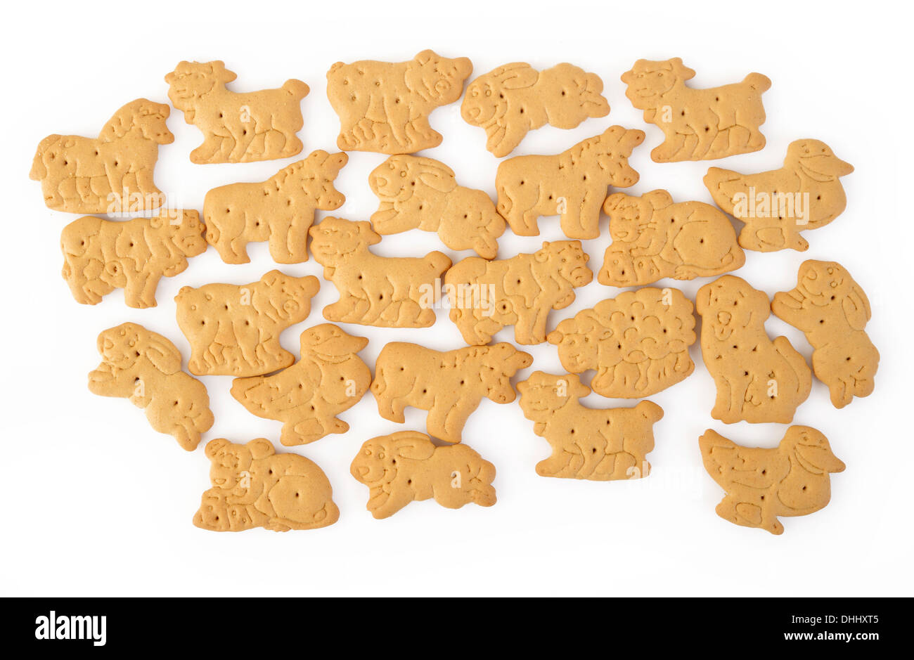animal shaped cracker isolated on white background Stock Photo - Alamy