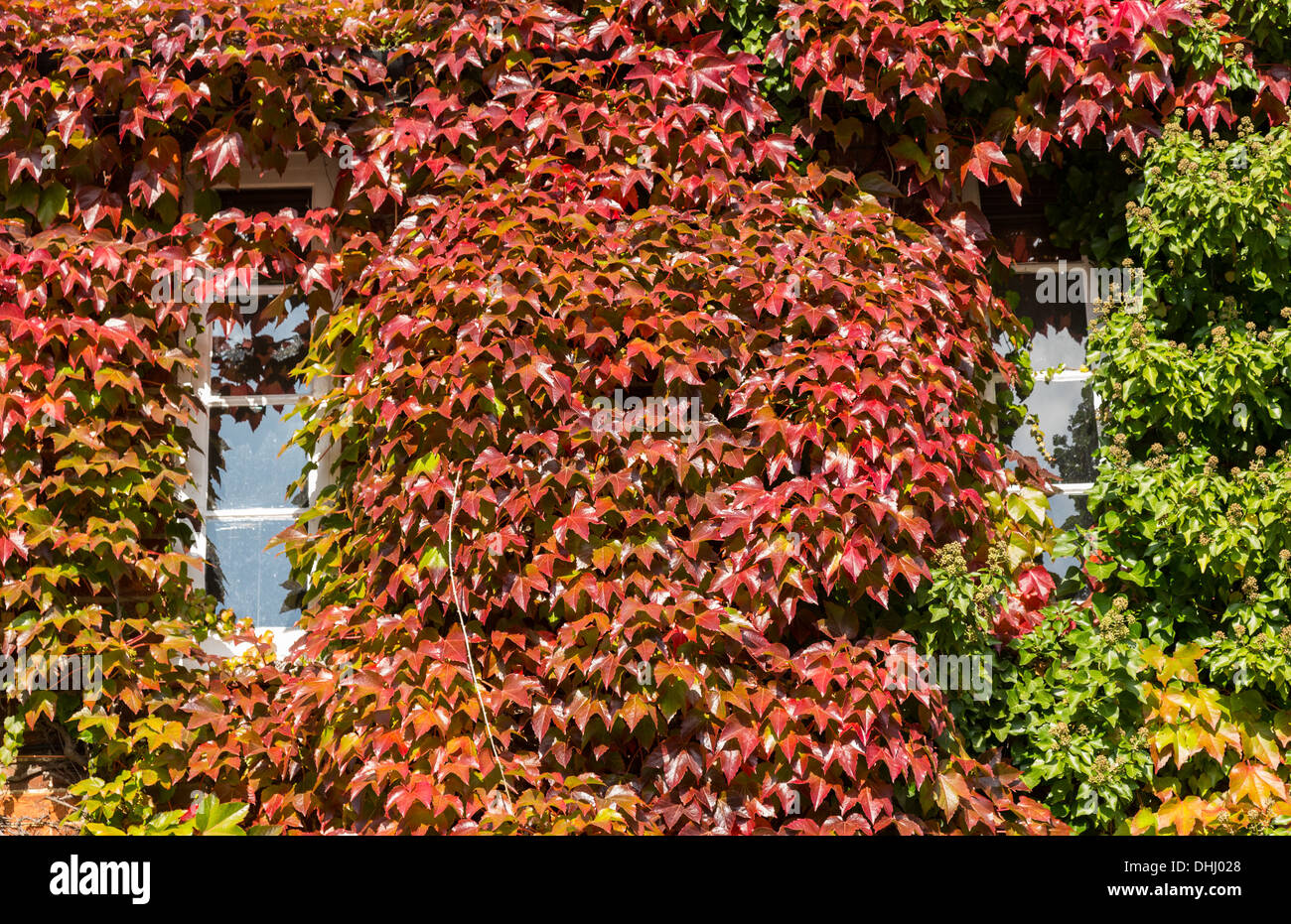 Cottage windows hi-res stock photography and images - Alamy