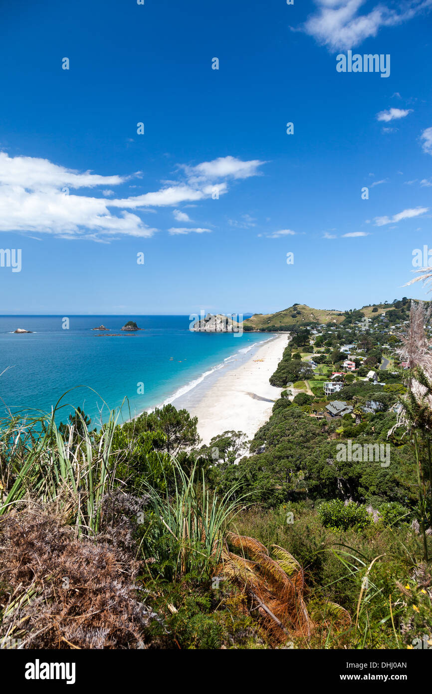 View down towards Hahei Stock Photo - Alamy