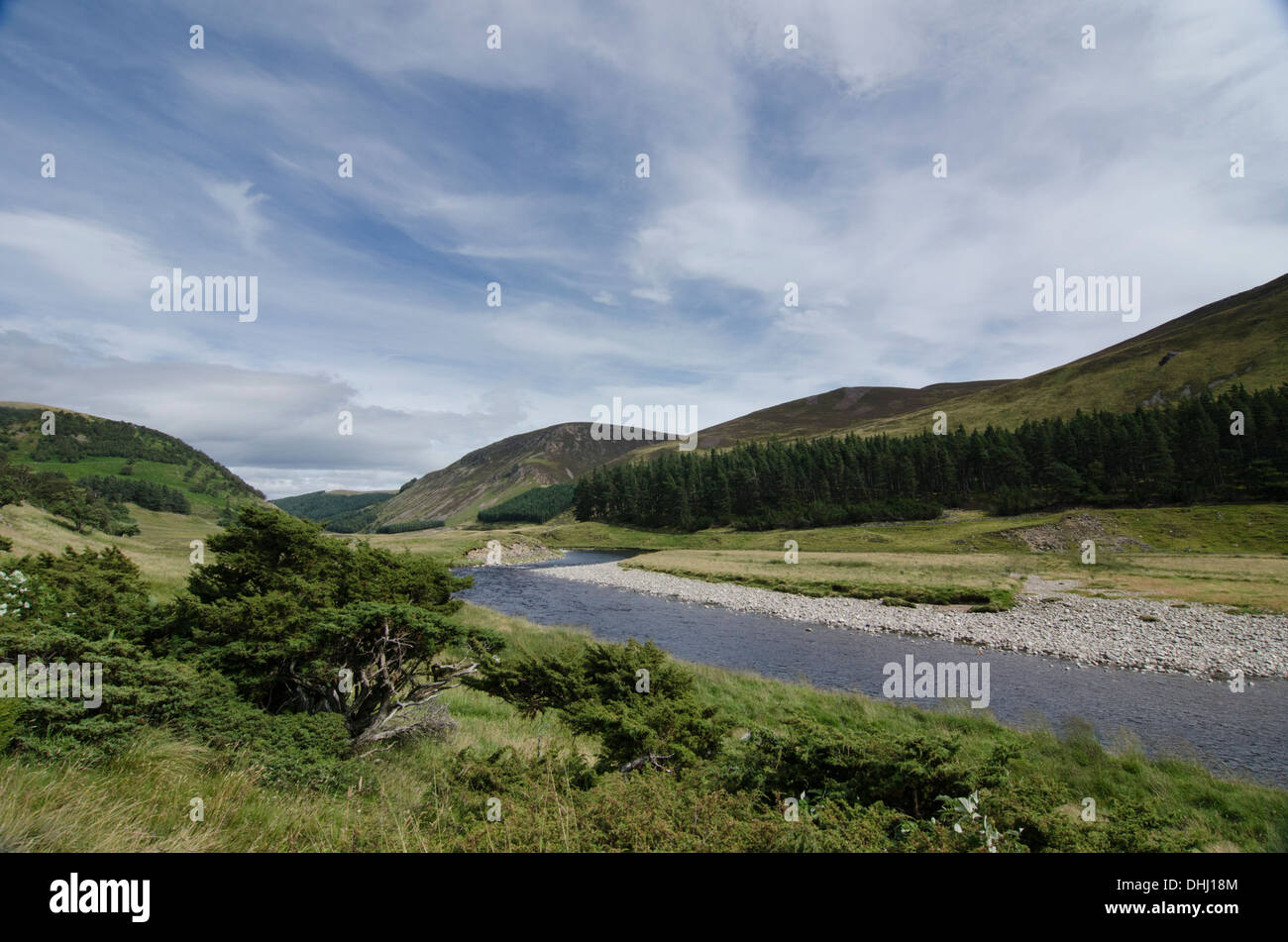 Juniper scotland hi-res stock photography and images - Alamy