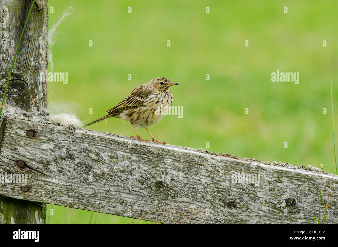 Cross member hi-res stock photography and images - Alamy