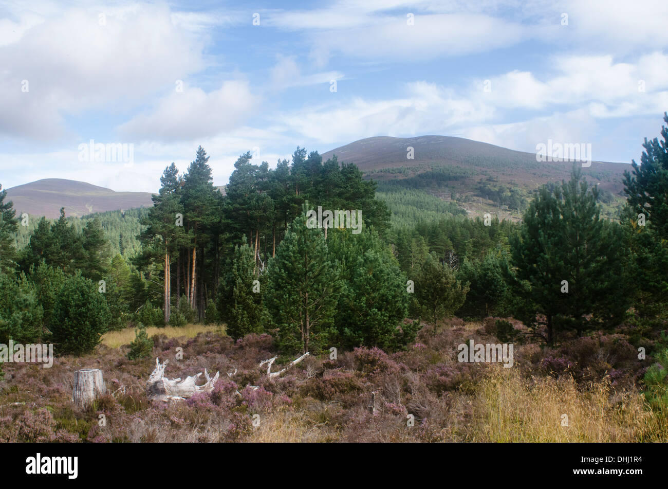Tor mor hi-res stock photography and images - Alamy