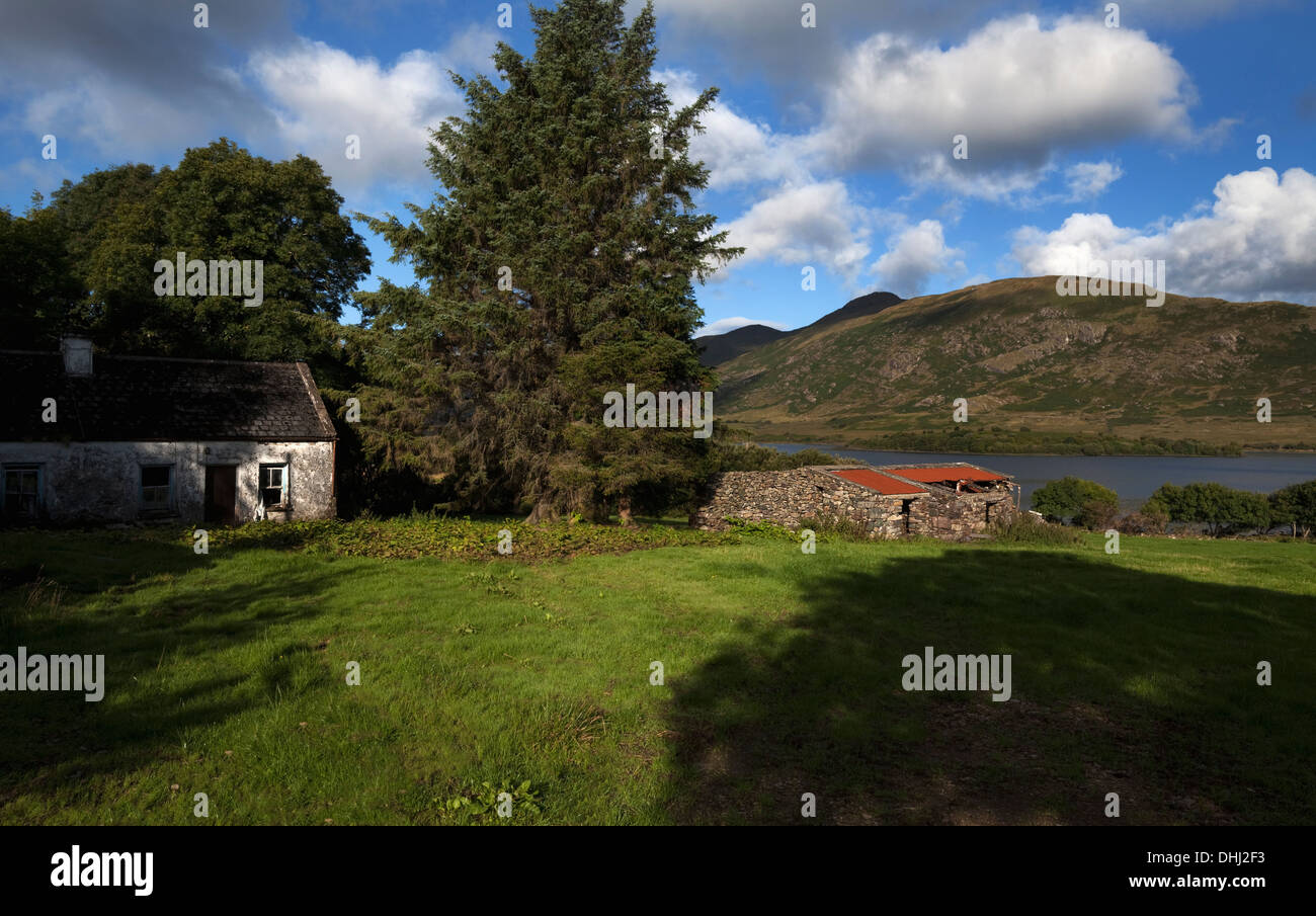 Joyce green farm hi-res stock photography and images - Alamy