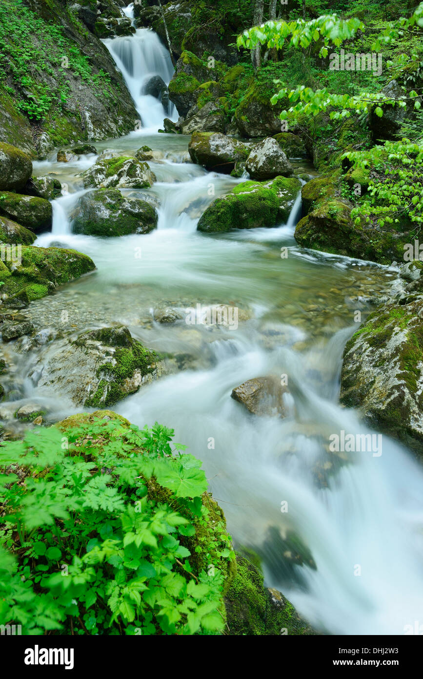 Mountain stream in the mountains flowing down steps of a waterfall ...