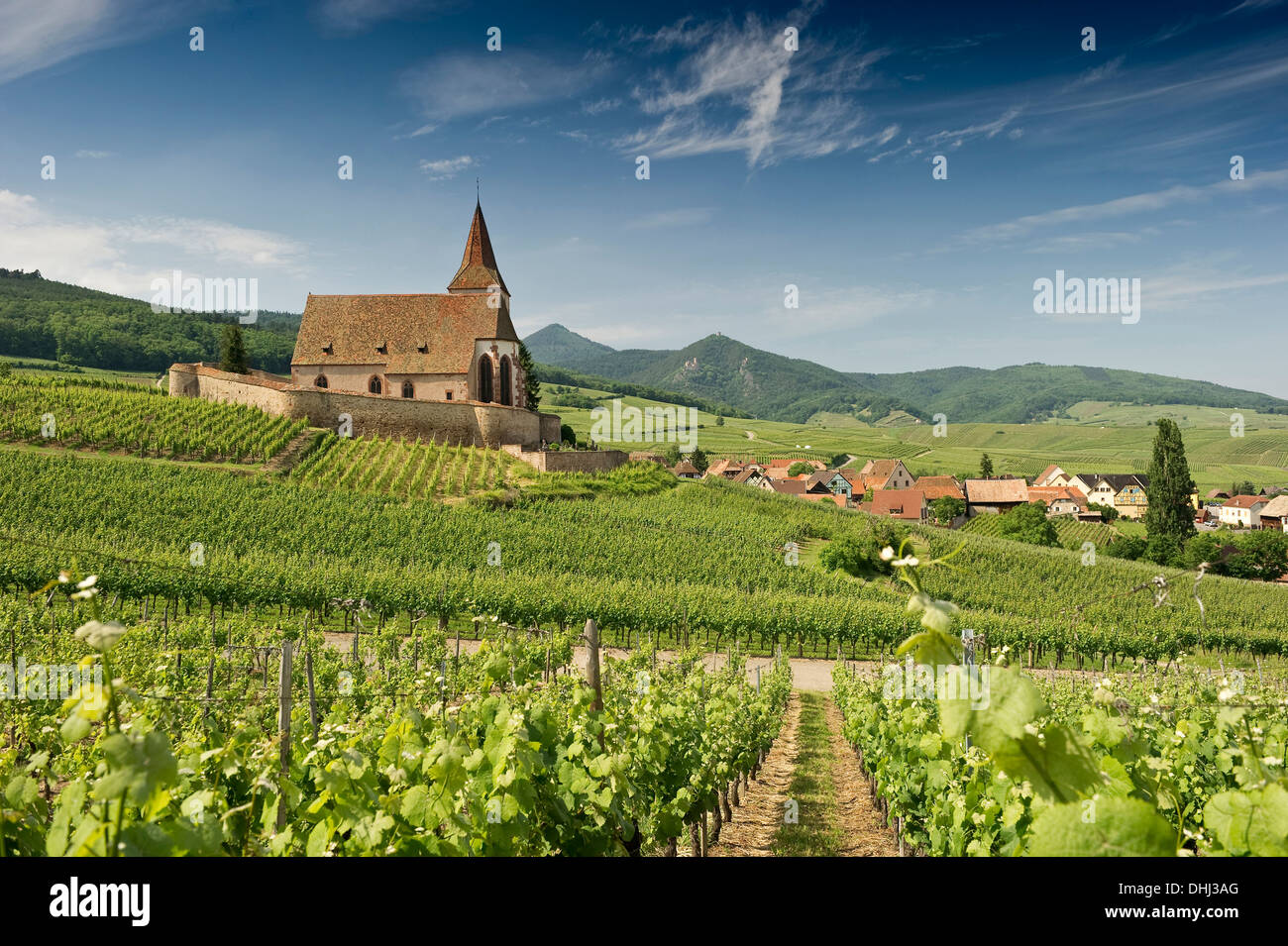 St Jacques Church with panoramic view and vineyards, Hunawihr, Alsace ...