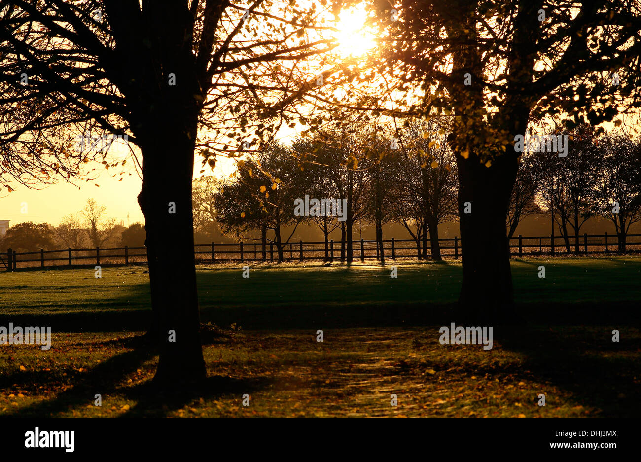 Coombe abbey park hi-res stock photography and images - Alamy