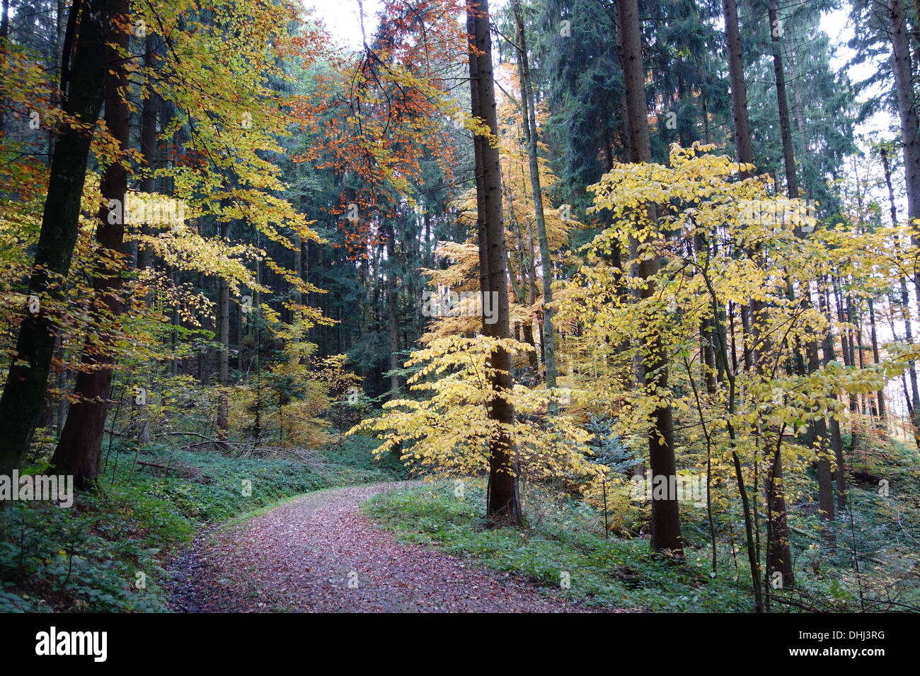 Empty lonely hi-res stock photography and images - Alamy