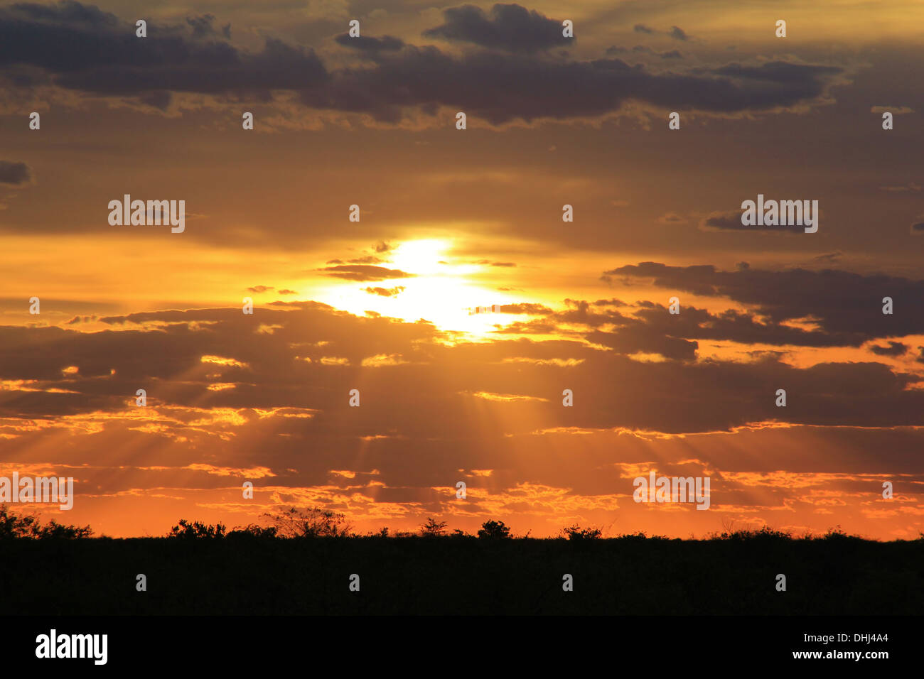 African sunset wallpaper hi-res stock photography and images - Alamy