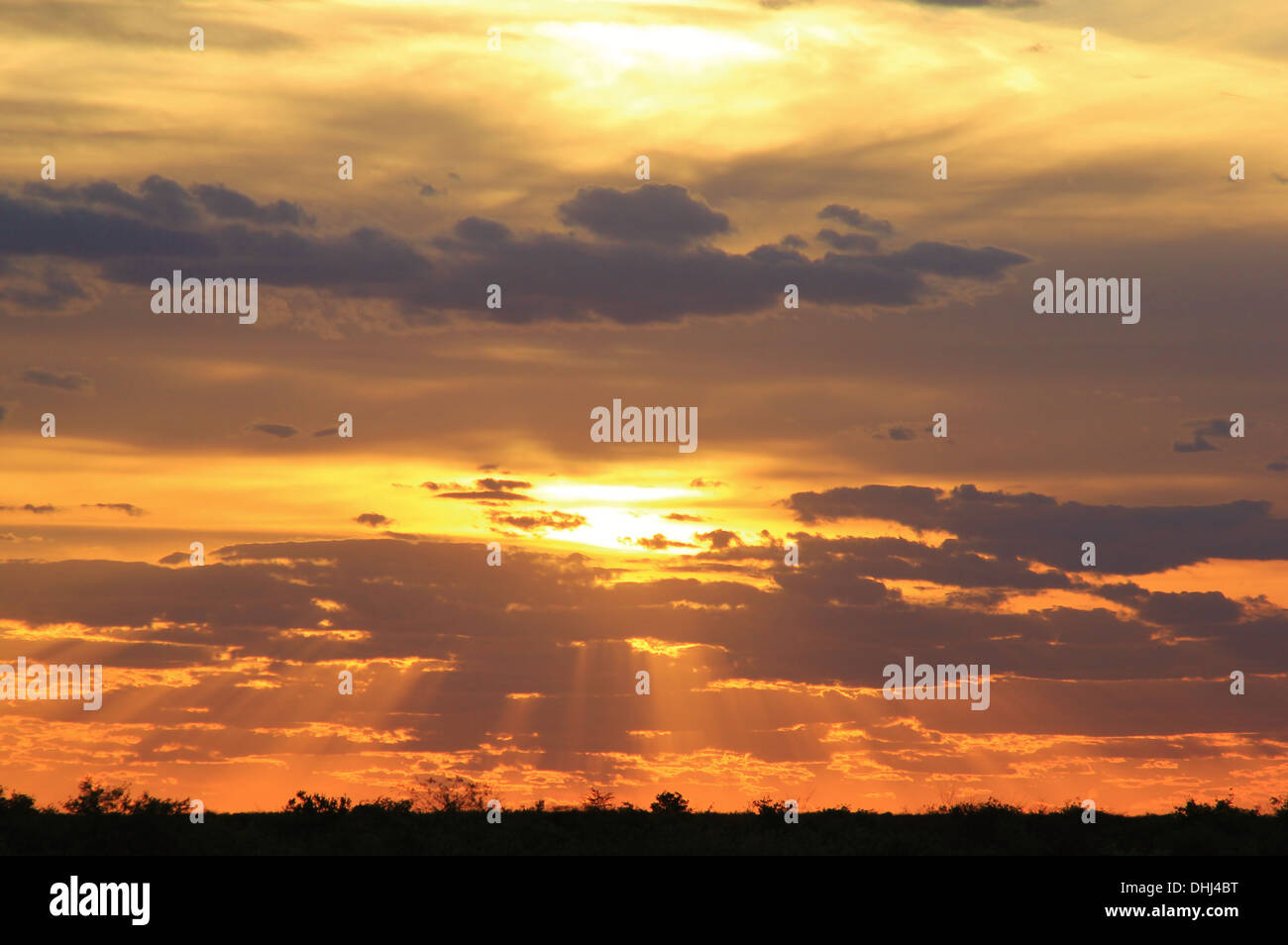 Sunset over Africa - Golden Light and Wonder of Nature Stock Photo - Alamy