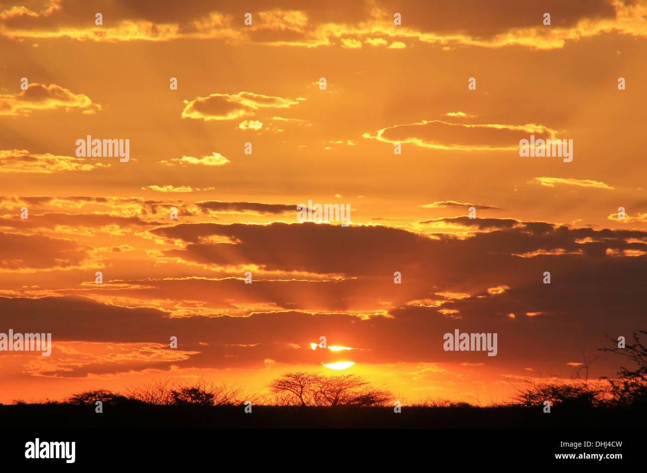 Sunset over Africa - Golden Light and Wonder of Nature Stock Photo - Alamy