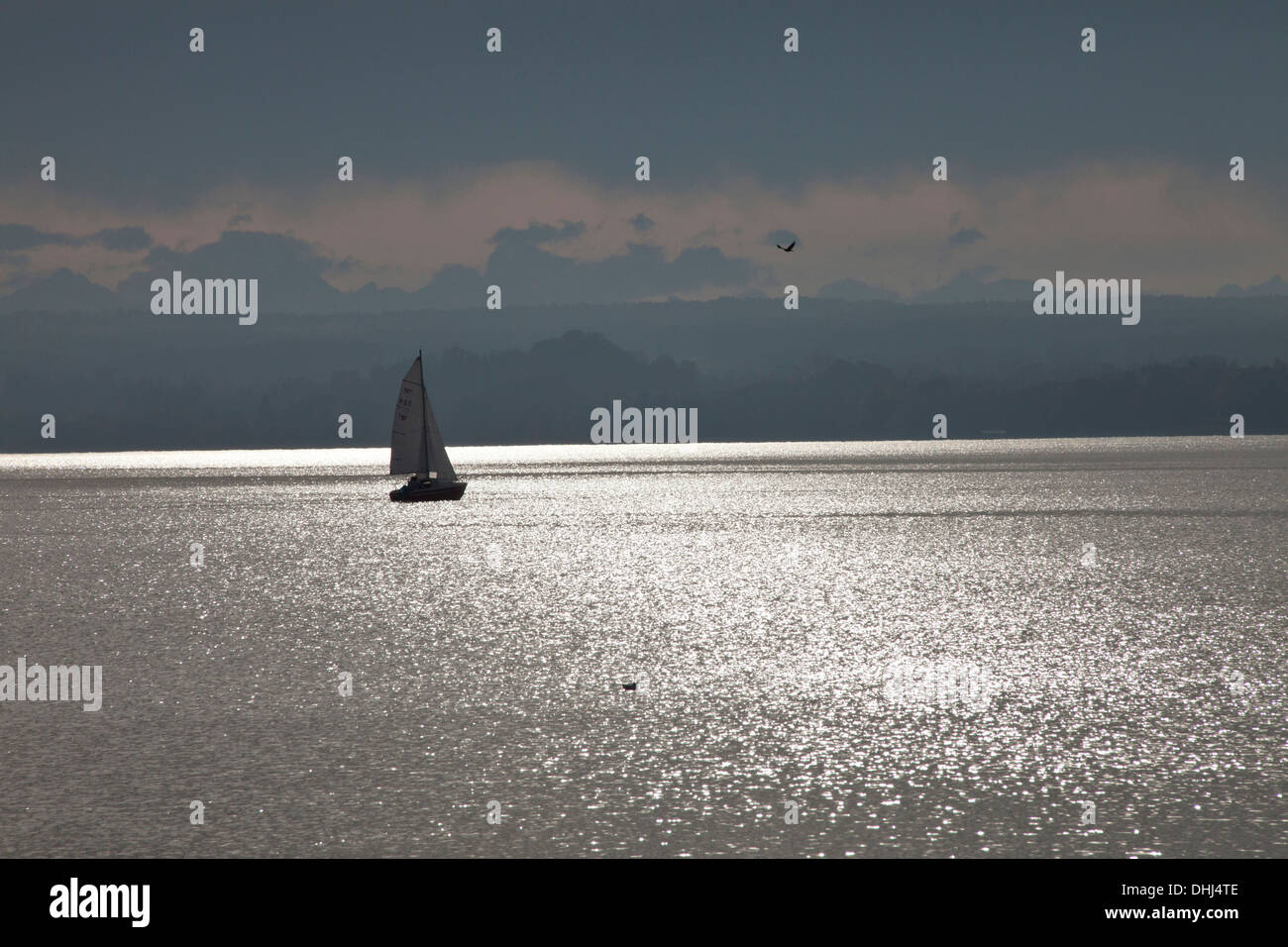 Sailing boat on the lake Ammersee, Upper Bavaria, Germany, Europe Stock ...
