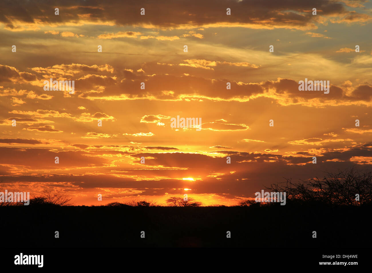 Sunset over Africa - Golden Light and Wonder of Nature Stock Photo - Alamy