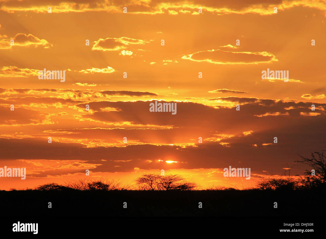 Sunset over Africa - Golden Light and Wonder of Nature Stock Photo - Alamy