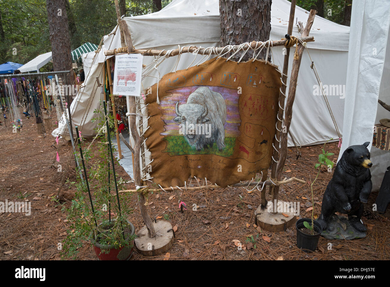 Native American Indian Animal High Resolution Stock Photography and ...