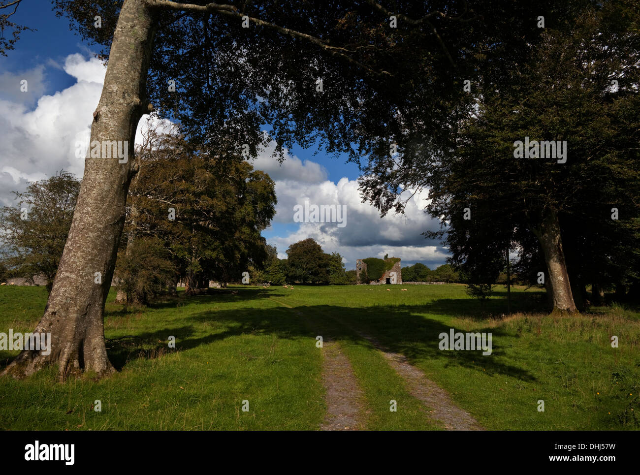 Moyne High Resolution Stock Photography and Images - Alamy