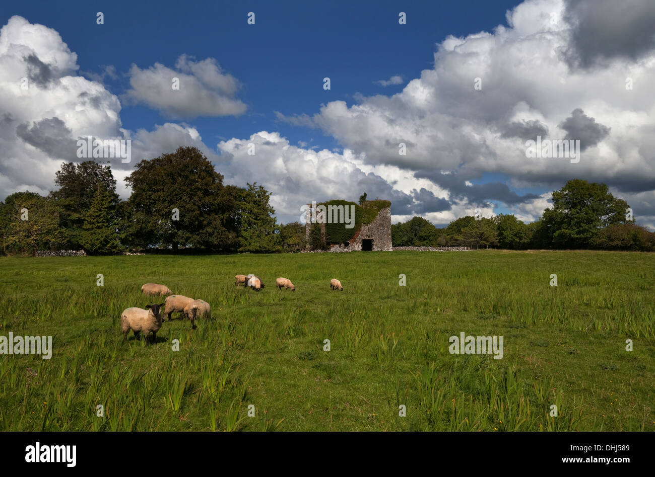 Moyne Castle (near Headford), probably built by one of the MacWilliam ...