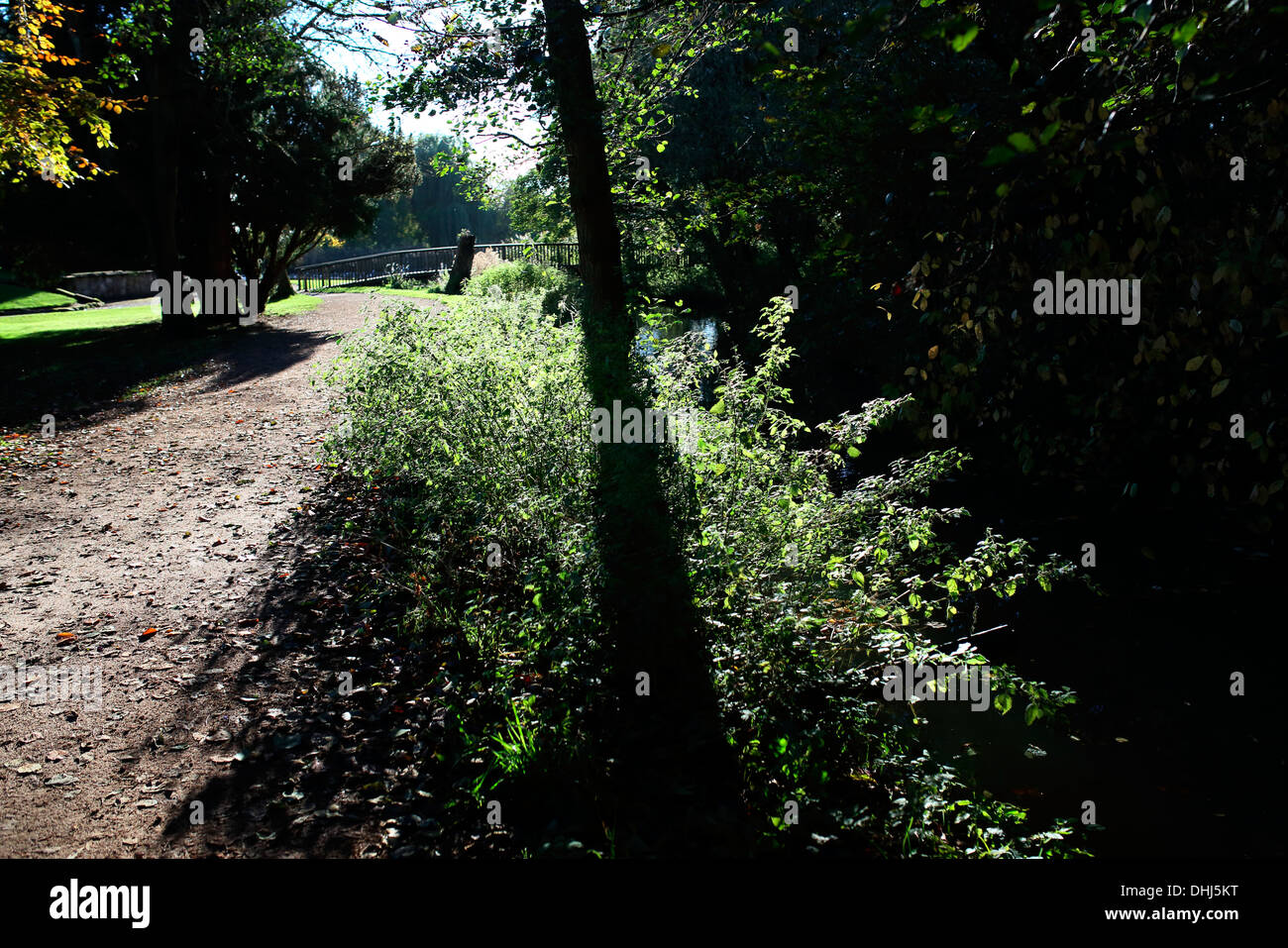 Coombe Abbey Park Stock Photo - Alamy
