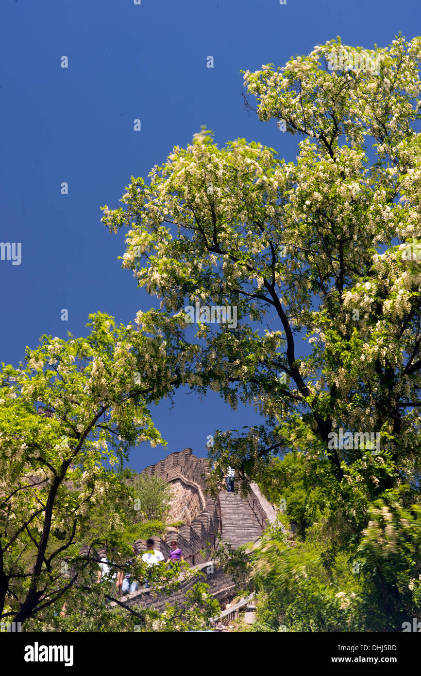Great Wall of China through trees Stock Photo - Alamy