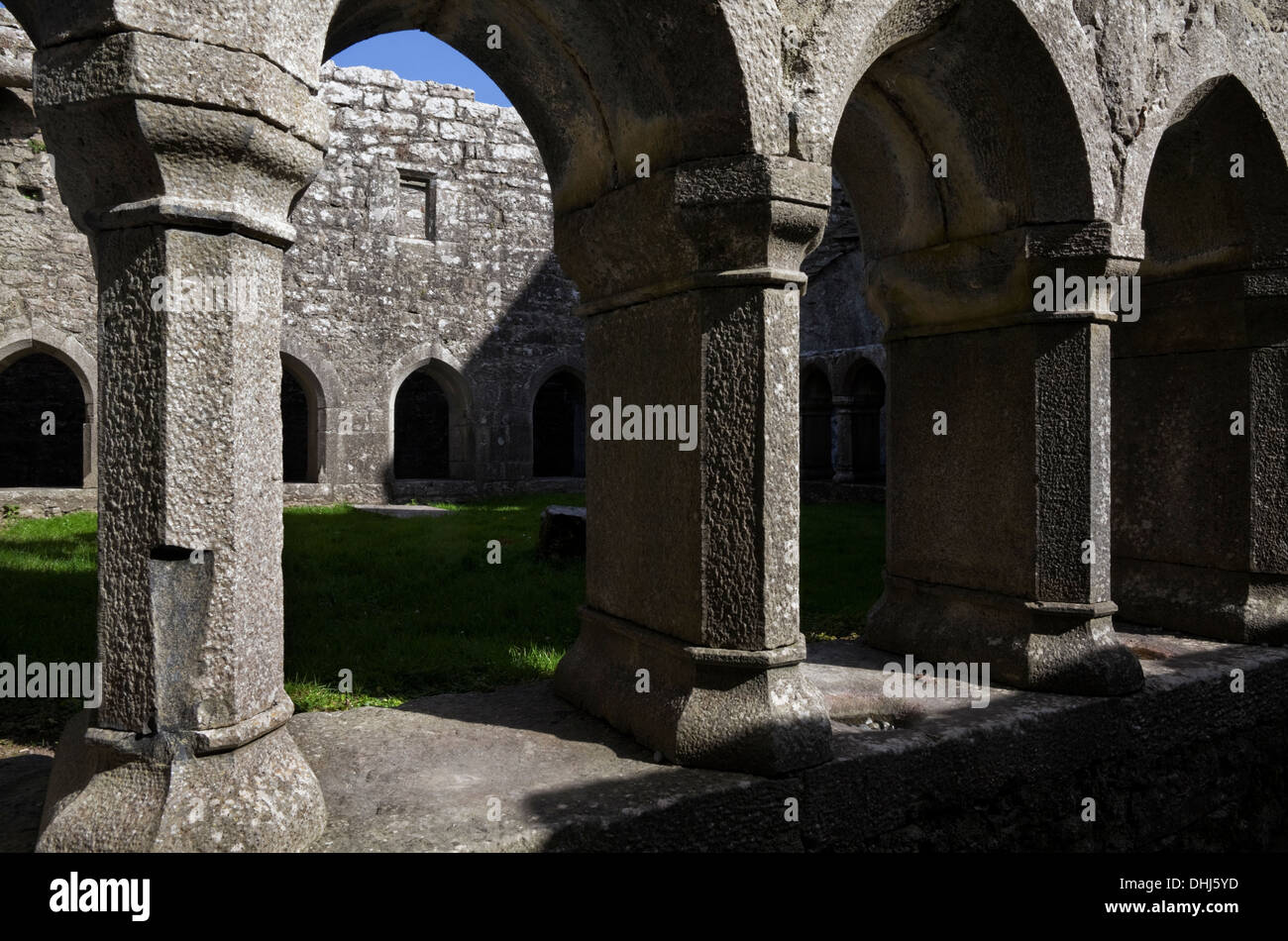 Cloisters in Ross Errilly Franciscan Friary, Built 1351 and abandoned ...
