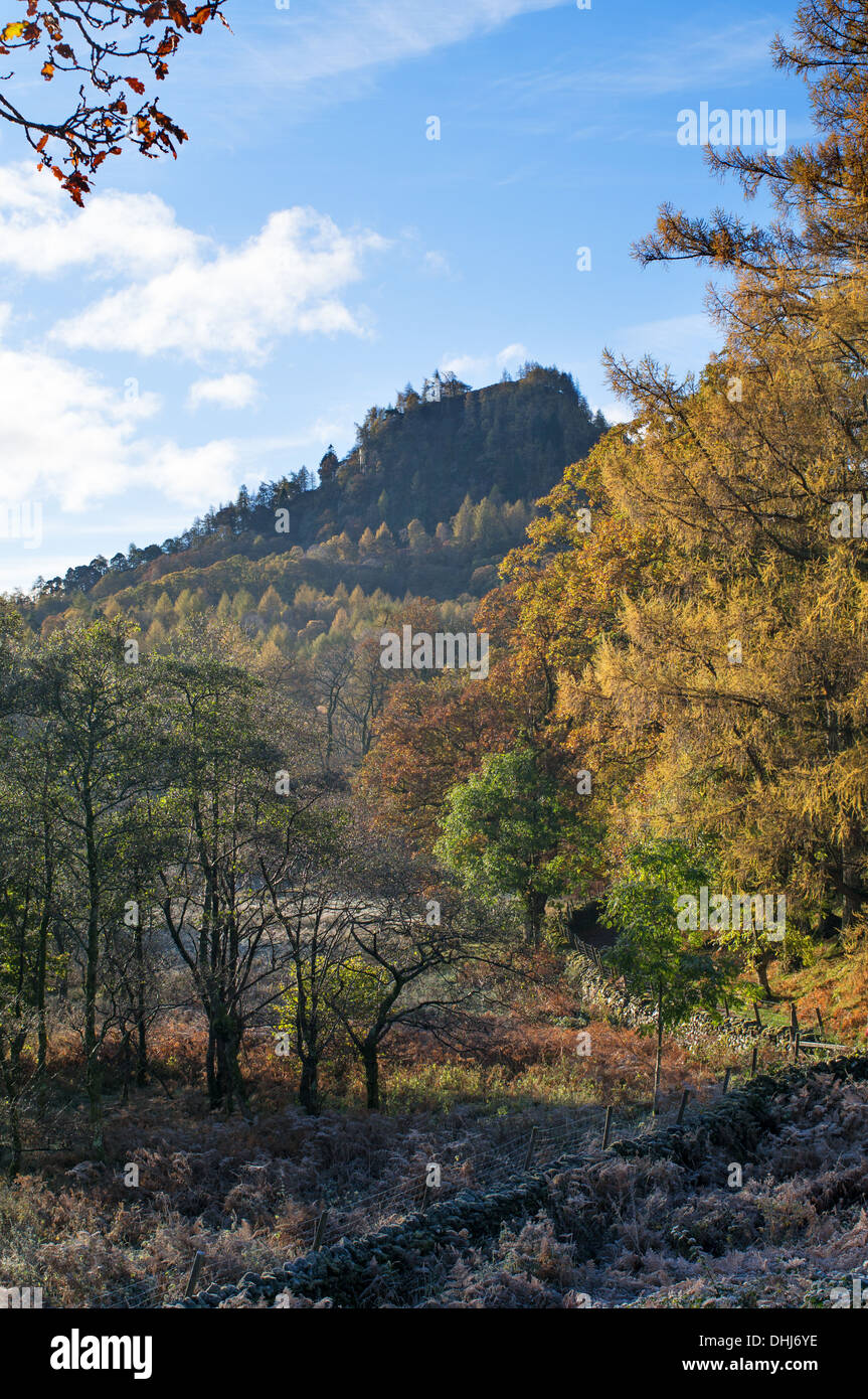 Castle Crag in autumn, Borrowdale, Cumbria, England, UK Stock Photo - Alamy