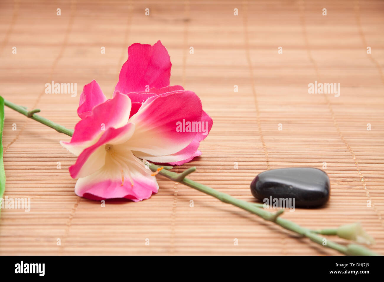 Flower blossom with stone Stock Photo - Alamy