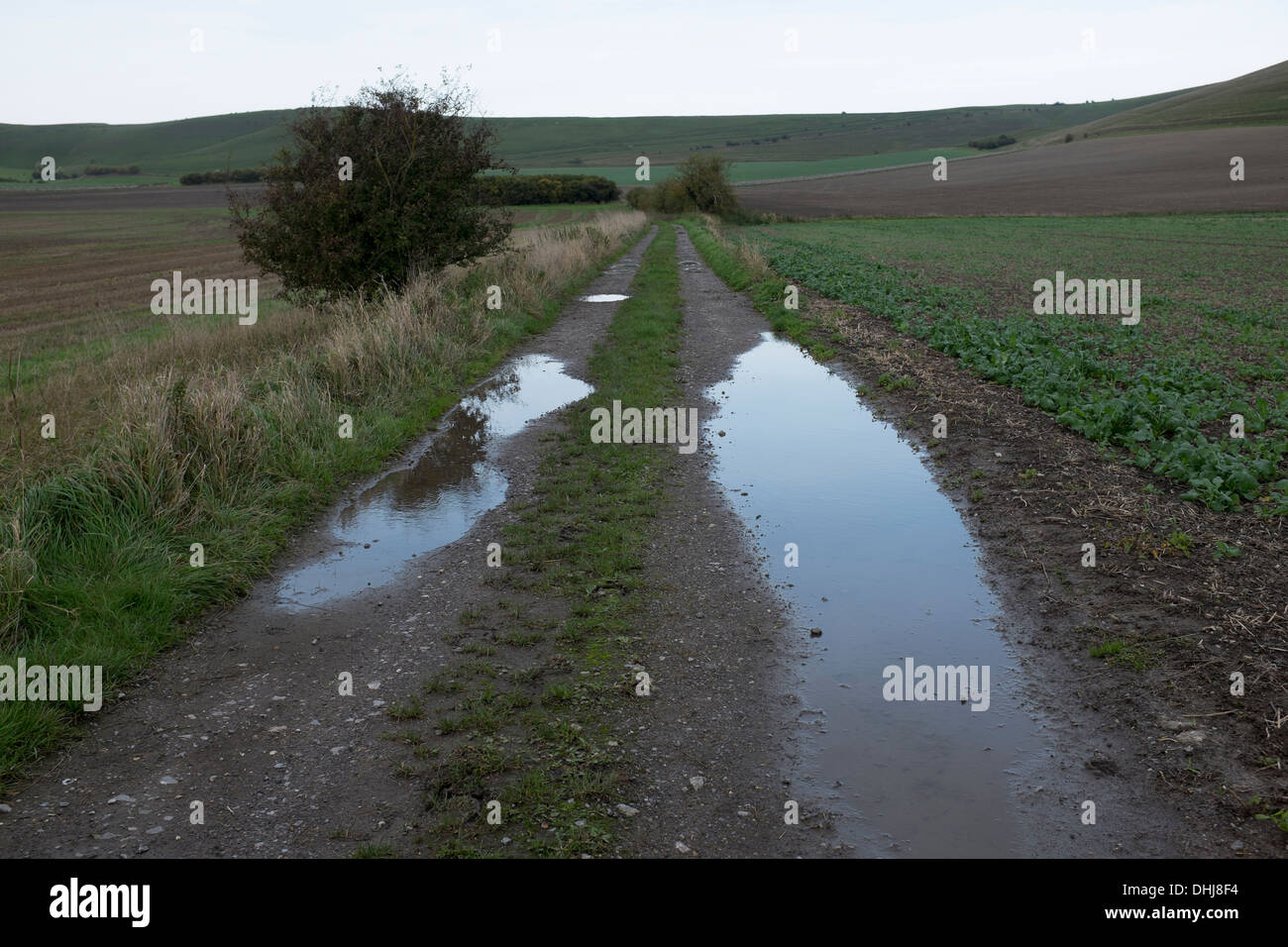 Rain sodden hi-res stock photography and images - Alamy