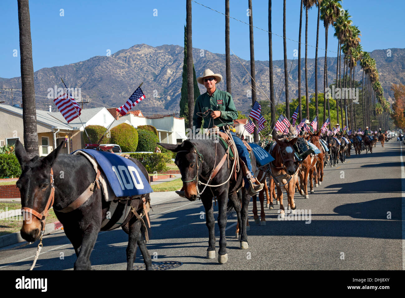 Commemorative parades hi-res stock photography and images - Alamy