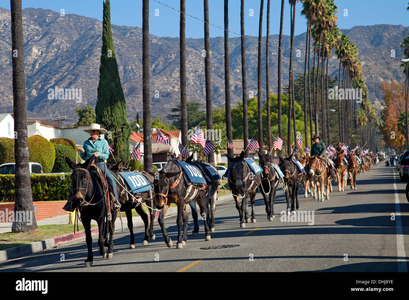 Commemorative parades hi-res stock photography and images - Alamy