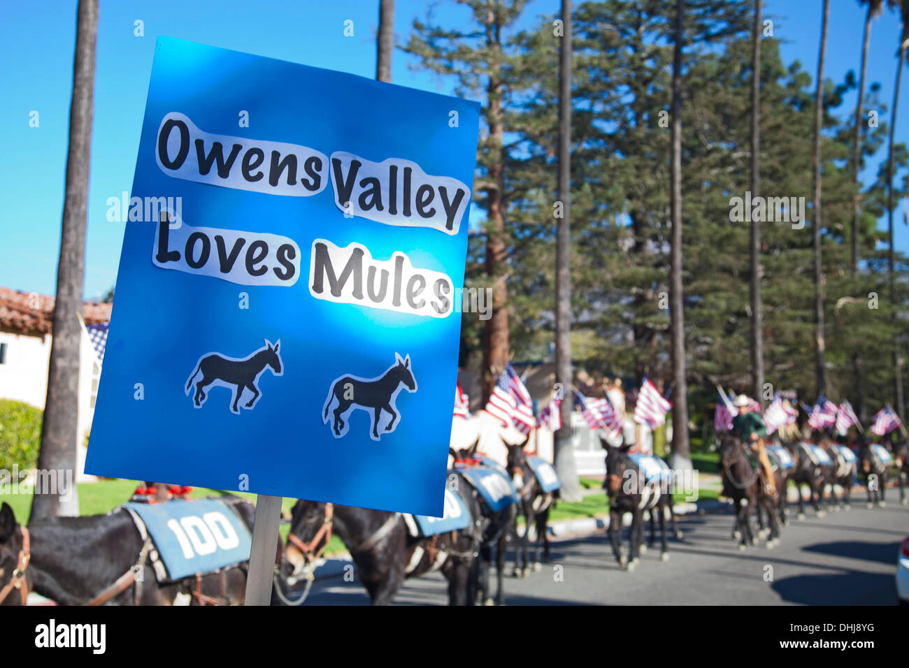 Commemorative parades hi-res stock photography and images - Alamy