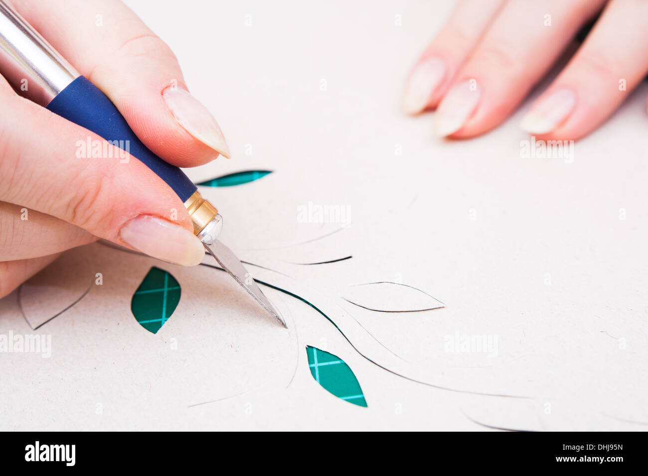 women's hand cutting flower from paper with spaper-knife Stock Photo ...
