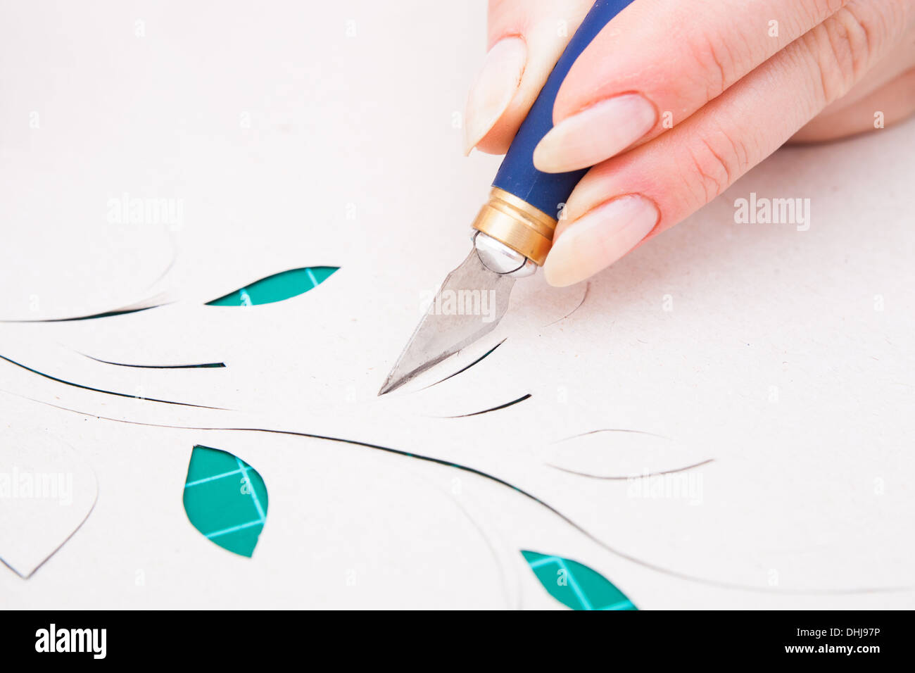 women's hand cutting flower from paper with spaper-knife Stock Photo ...