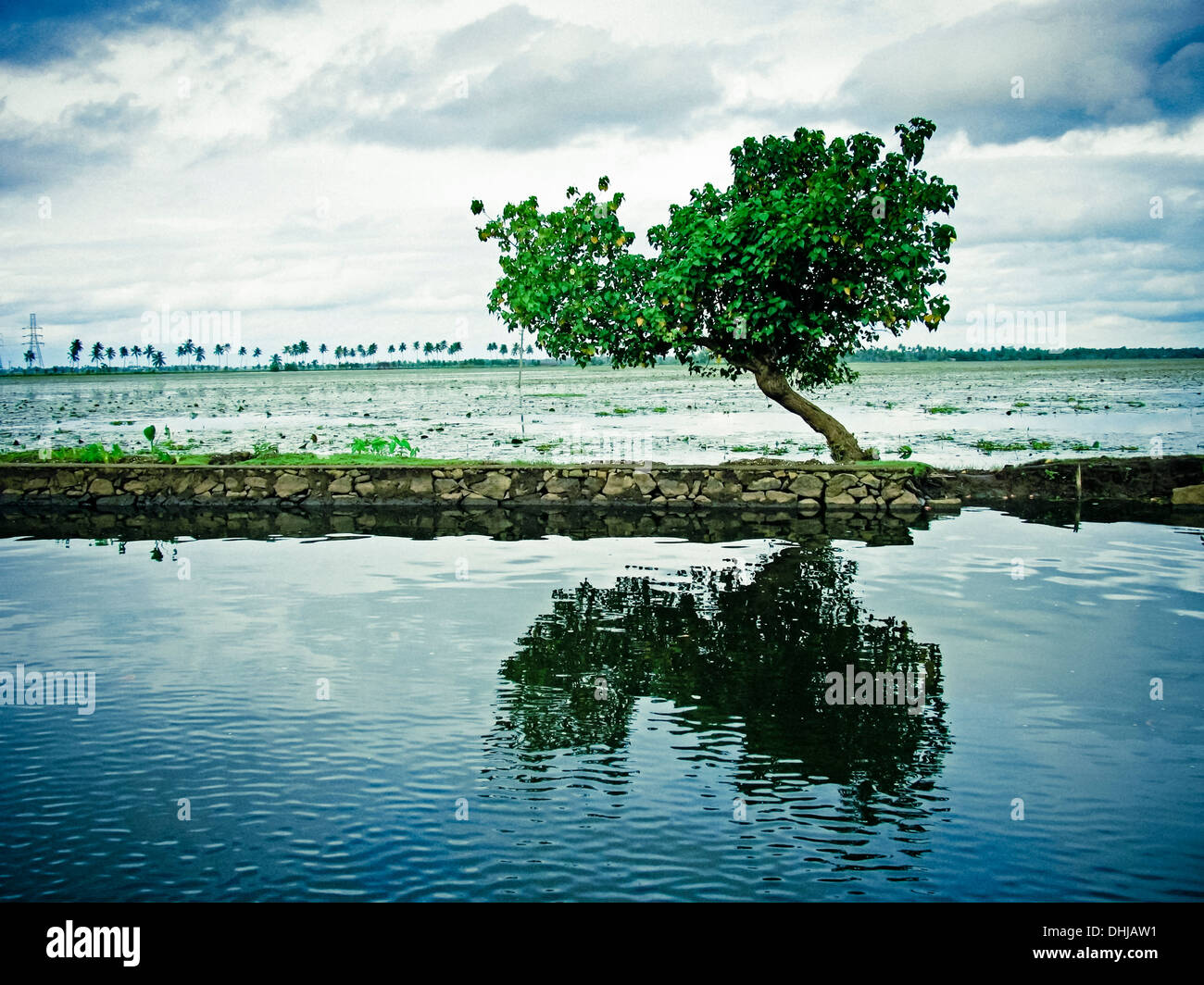 Kerala Backwater, Kerala, India Stock Photo - Alamy