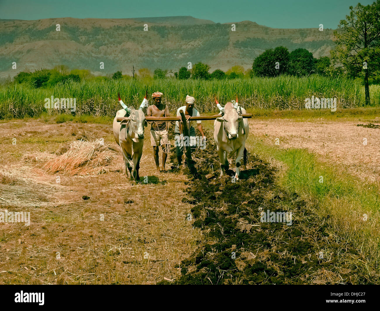 Farmer ploughing field hi-res stock photography and images - Alamy