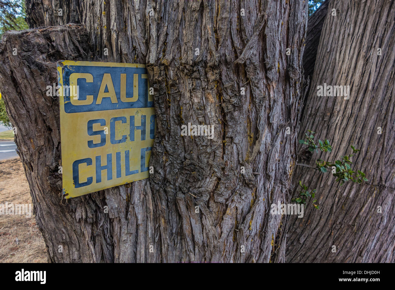Caution school signs hi-res stock photography and images - Alamy