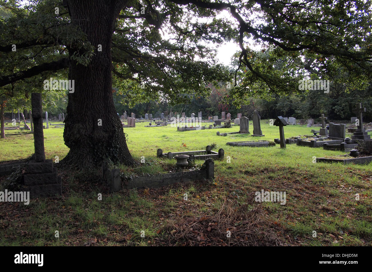 Warmley Stock Photos & Warmley Stock Images - Alamy