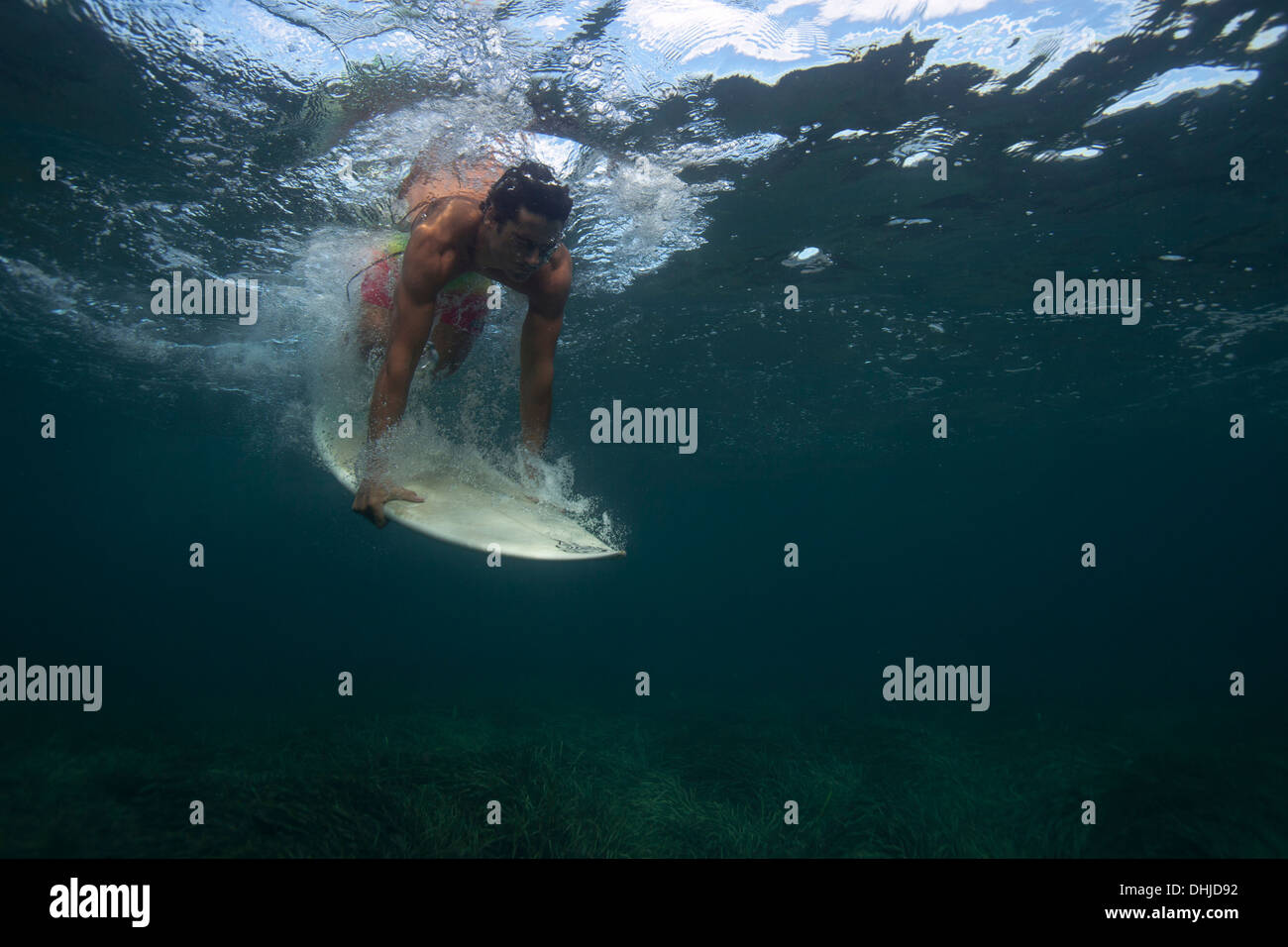 Surfer Duck Dives Under Water Stock Photo - Alamy