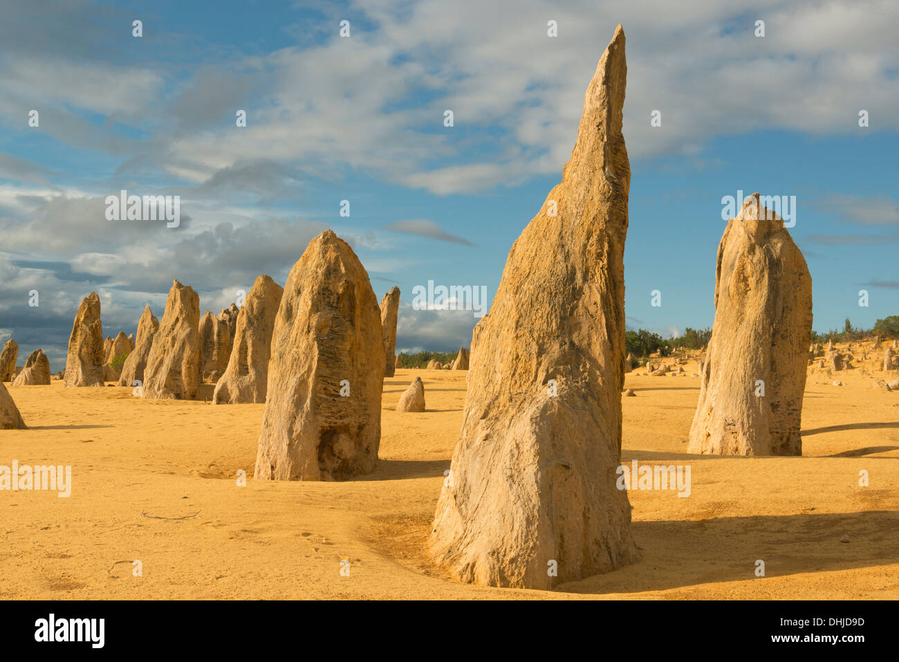 Pinnacles, Nambung National Park, Western Australia Stock Photo - Alamy