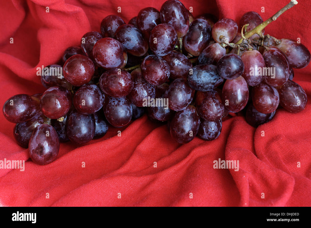 Macro shot of red seedless grape against red background Stock Photo - Alamy