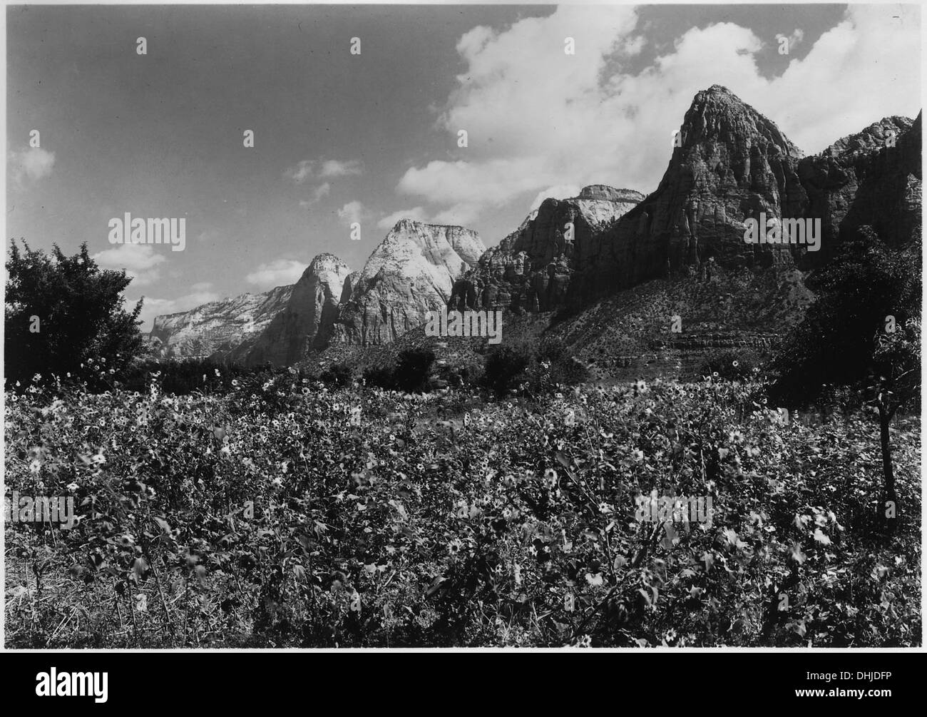 This view shows the east side of Zion Canyon from the entrance below ...