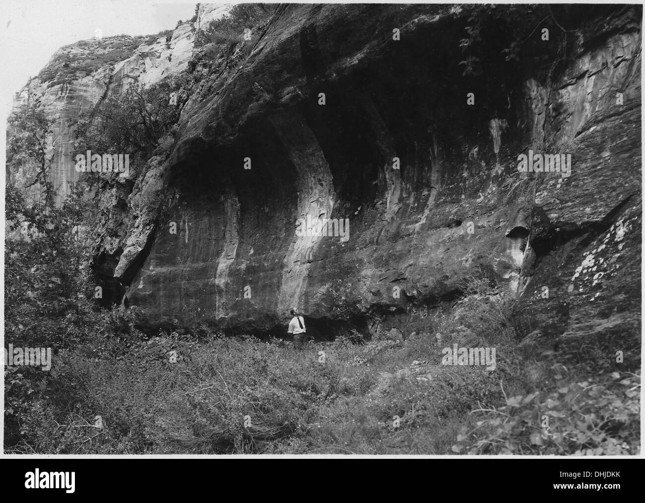 A concave gallery formed by water seepage through sandstone, with ...