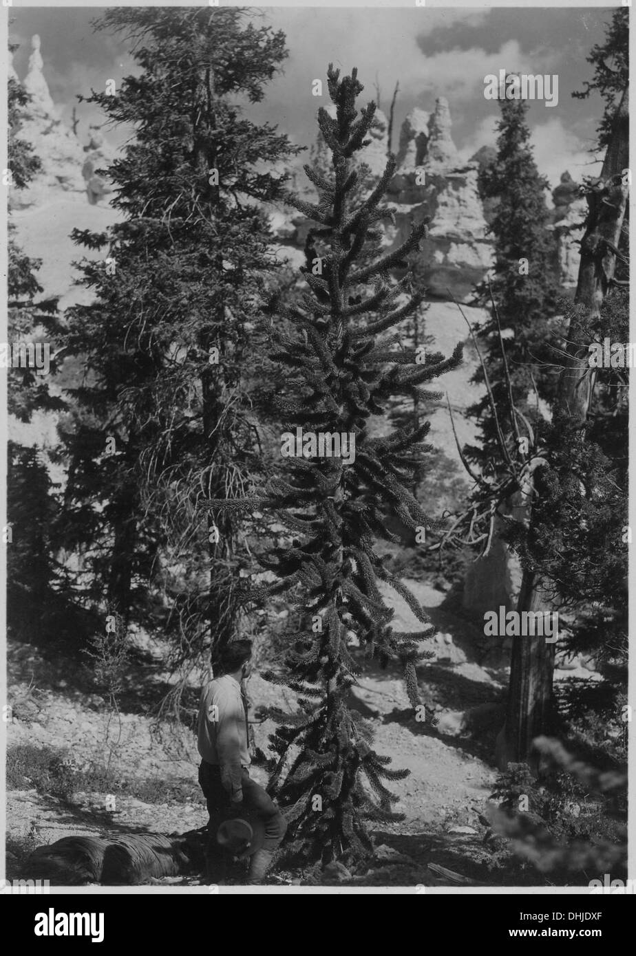 Bottom park Black and White Stock Photos & Images - Alamy