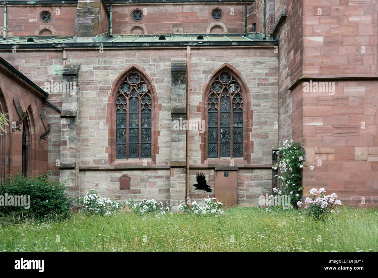 Stained glass windows of the Basel Munster seen from the Grosser ...