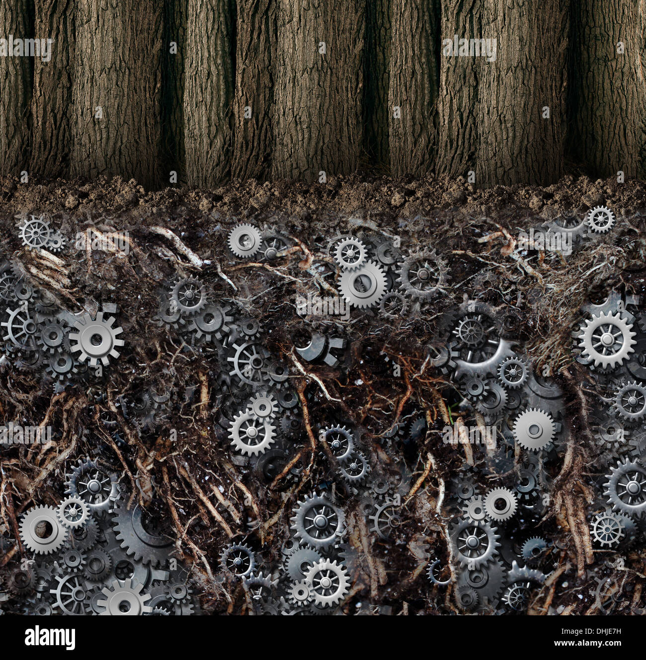 Trees roots connected hi-res stock photography and images - Alamy