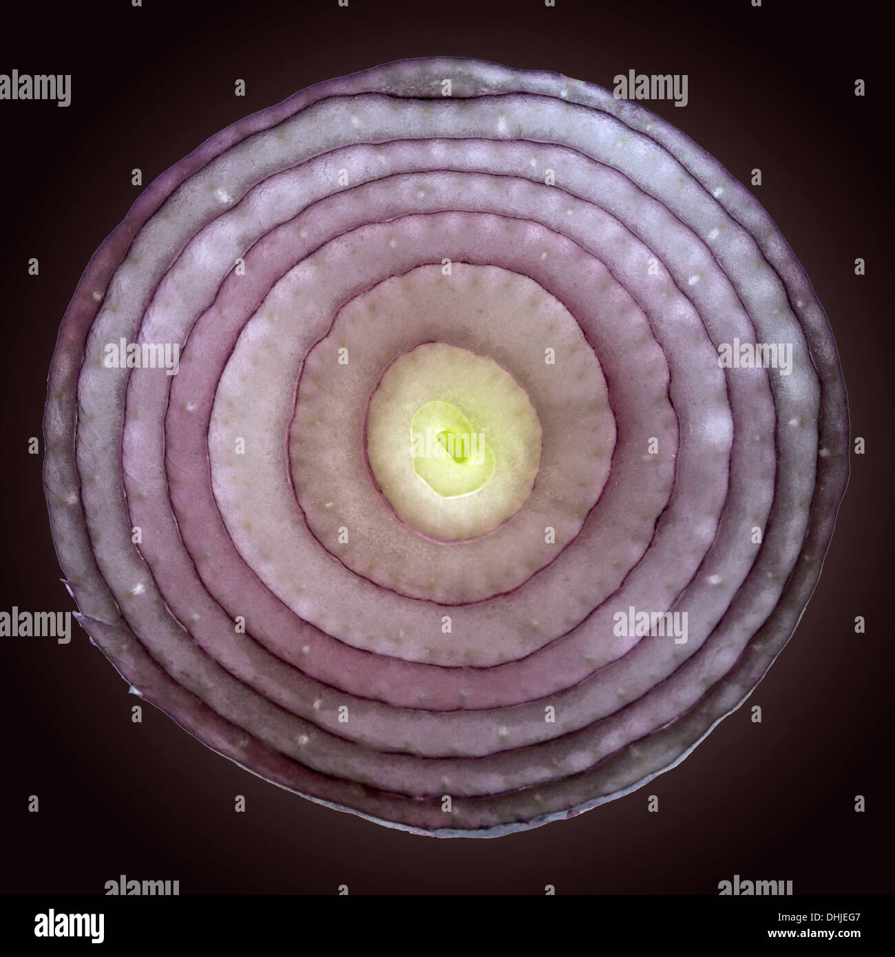 Red onion slice Stock Photo - Alamy